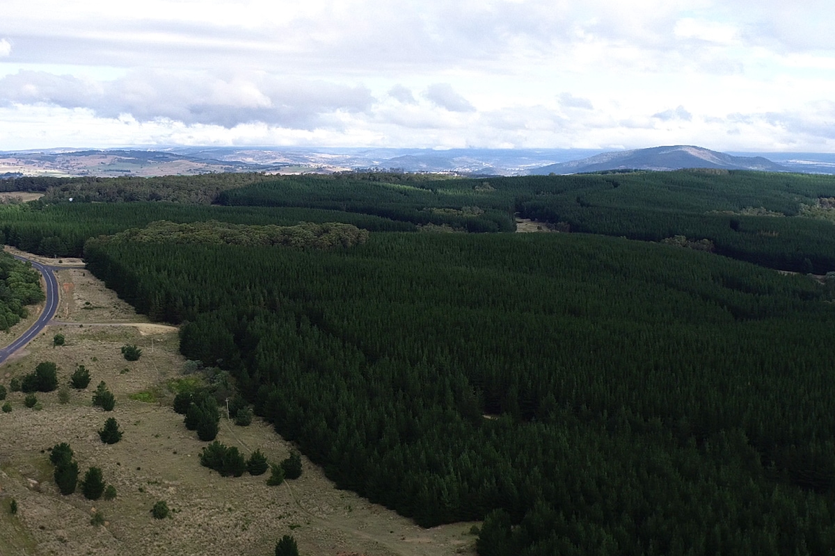 Sunny Corner Wind Farm - Someva Renewables