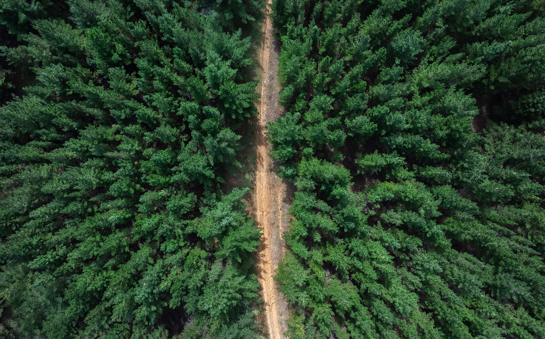 Home - Someva Renewables