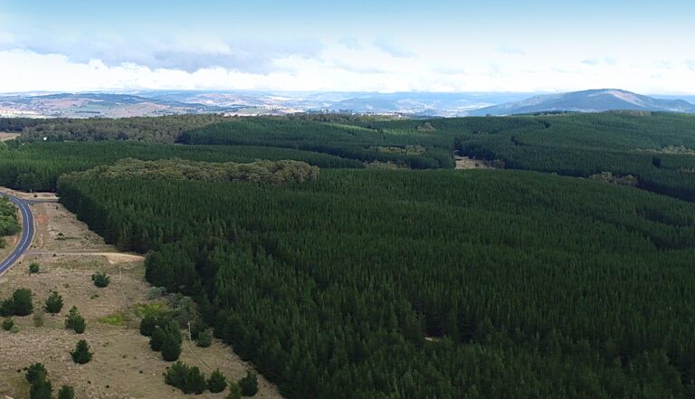 Sunny Corner Wind Farm - Someva Renewables